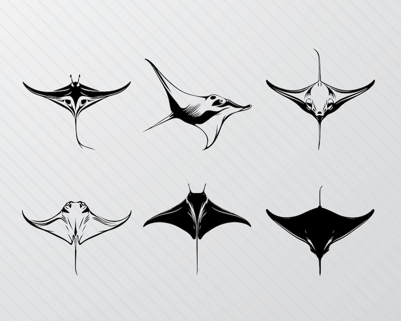 Manta Ray Svg Bundle, Manta Ray Silhouette Png, Manta Ray Vector, Manta ...