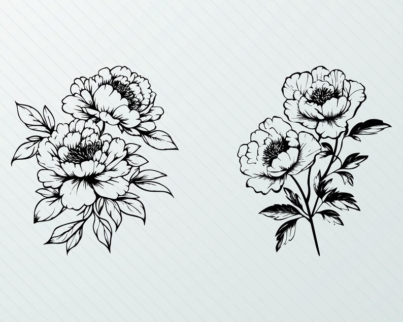 Peony Flower SVG: Floral Clipart, Vector Art, Cut Files (PNG) - Etsy