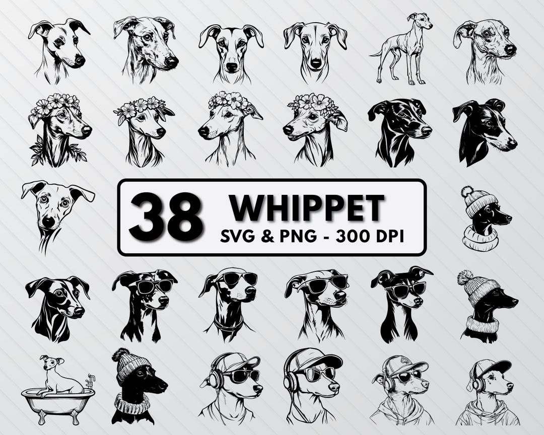 Whippet Svg Bundle, Whippet Dog Silhouette, Whippet Vector Art, Whippet ...