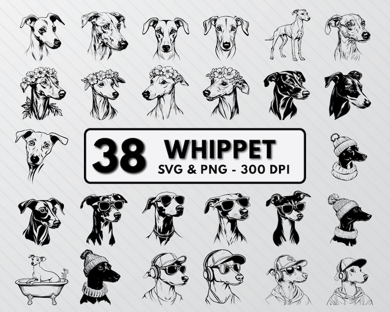 Whippet Svg Bundle, Whippet Dog Silhouette, Whippet Vector Art, Whippet ...