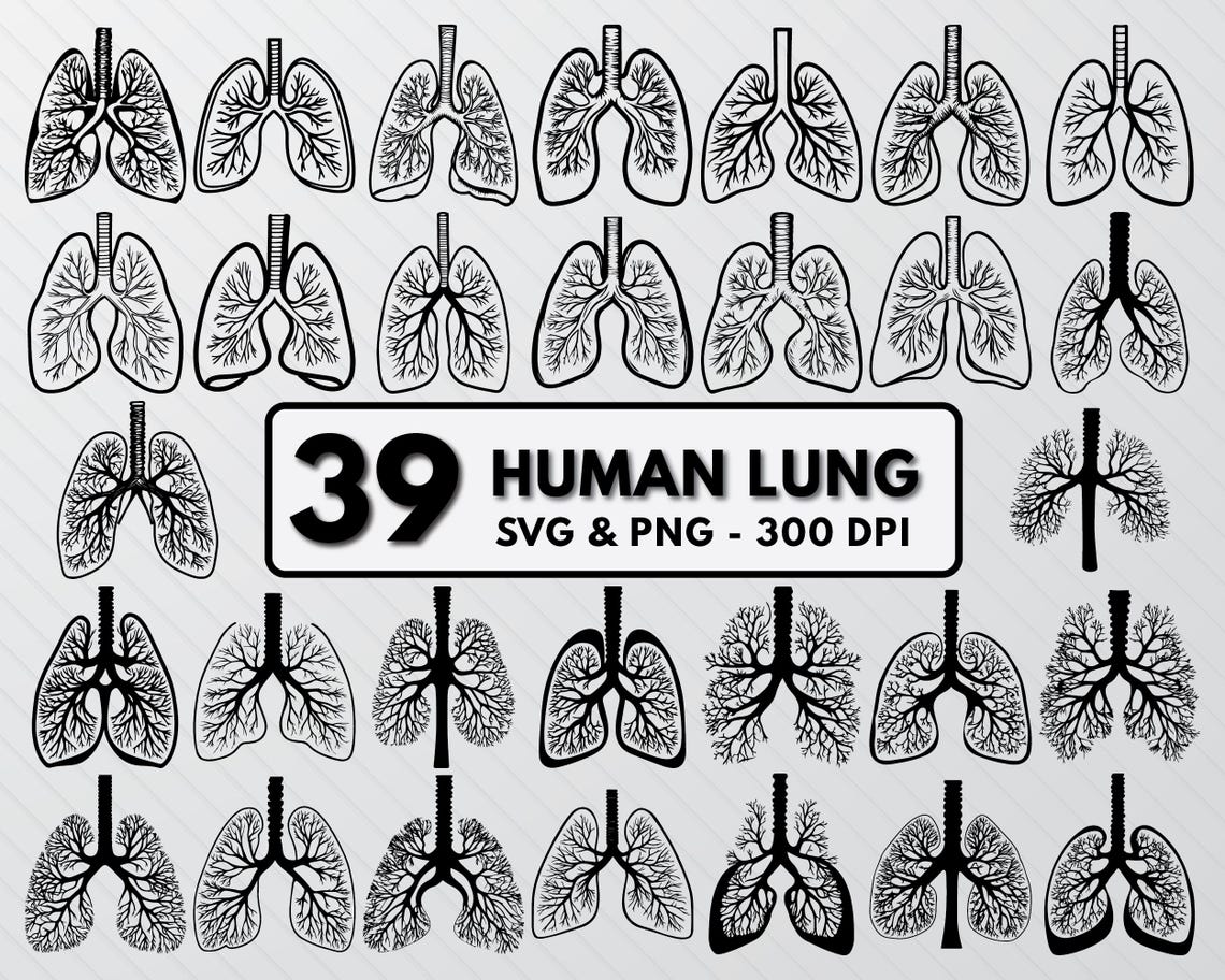 Human Lungs Silhouette, Human Lungs Svg Bundle Cut File, Lungs Png ...
