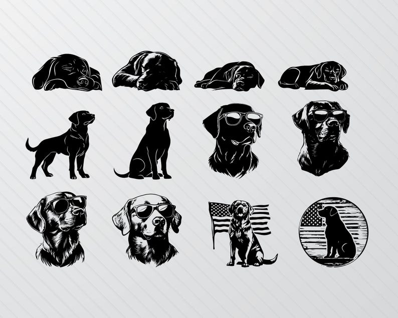 Labrador Retriever Silhouette: Dog SVG Bundle, Puppy Vector Art (PNG ...
