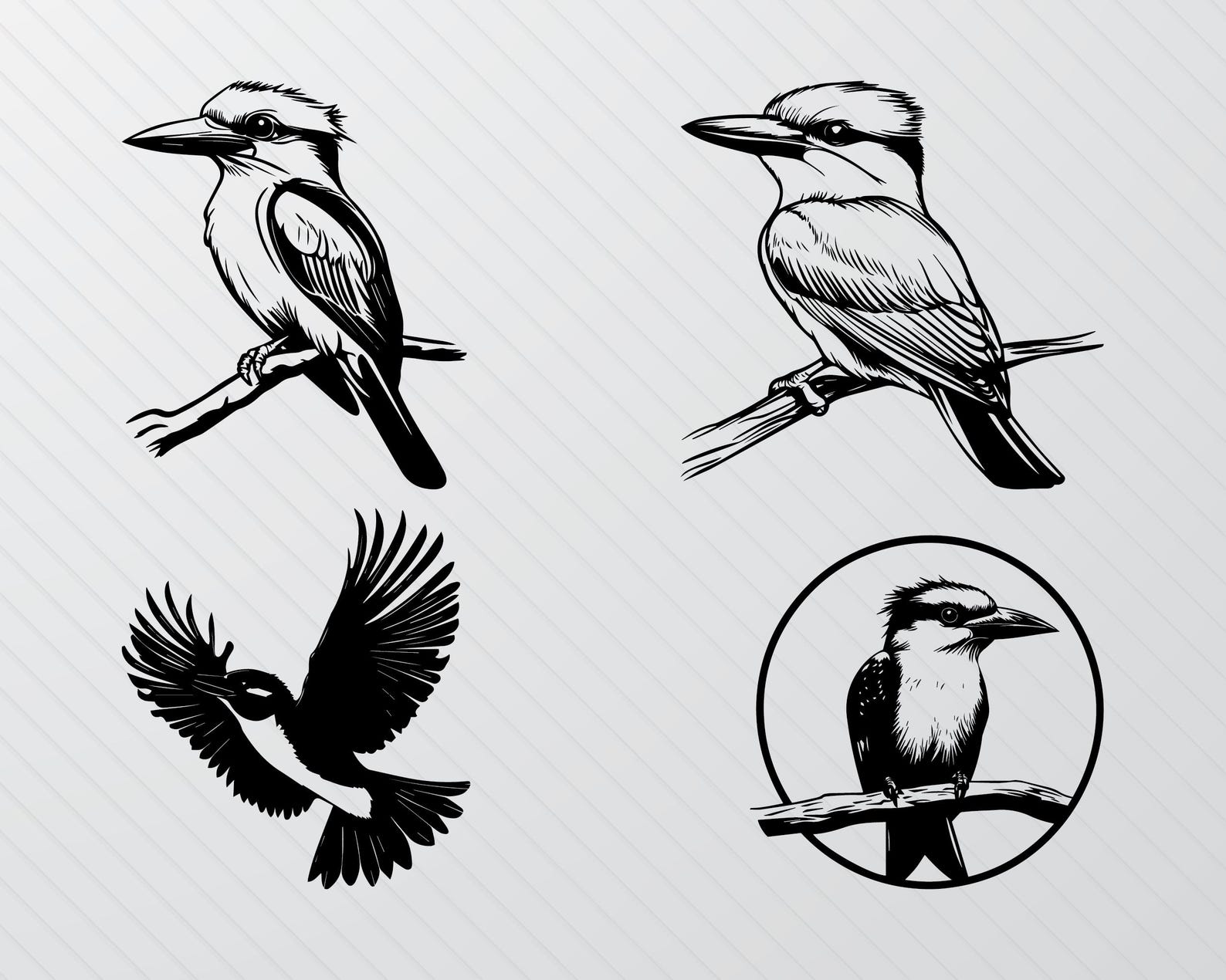 Kookaburra Svg Bundle, Kookaburra Silhouette Png, Australian Bird Svg ...