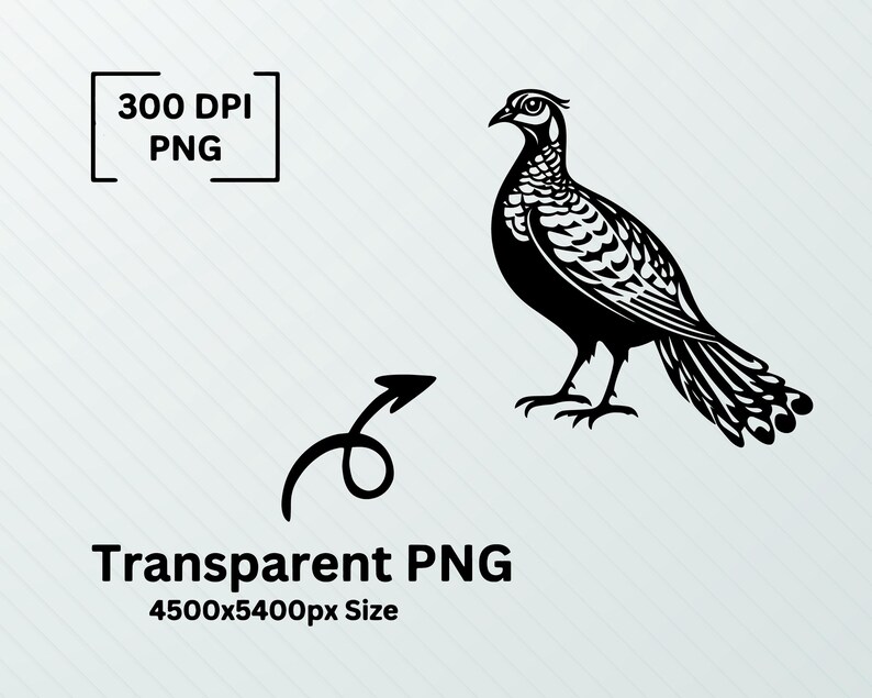 Pheasant SVG PNG Clipart: 58 Vector Cut Files (300 DPI) - Etsy