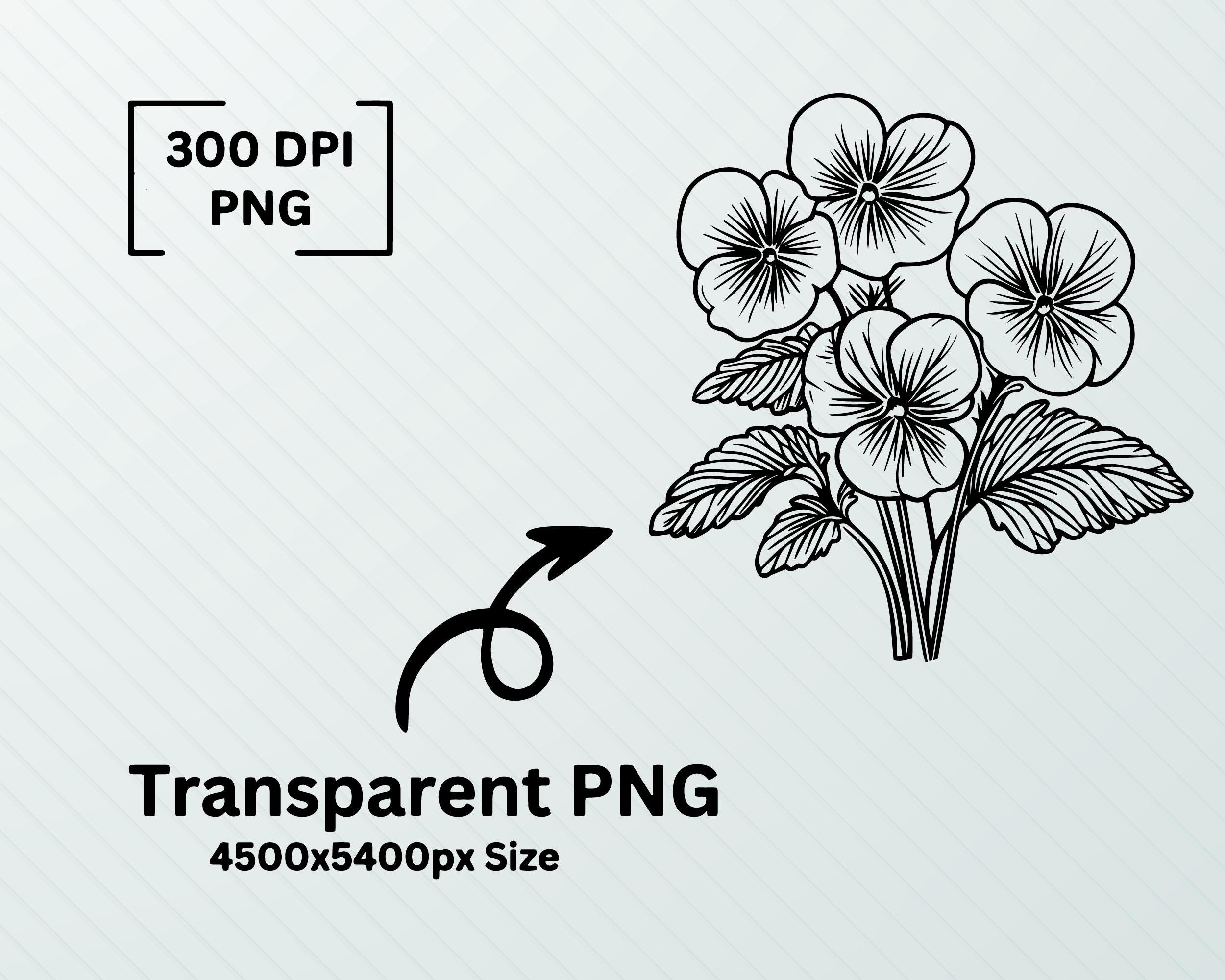 Violet Flower SVG: February Birth Flower Clipart (PNG, Vector) - Etsy