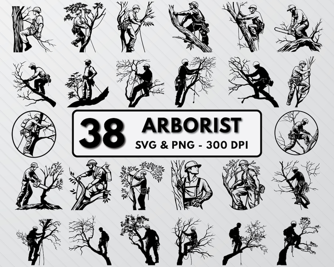 Arborist Svg Bundle, Tree Arborist Silhouette, Tree Services Svg Png ...