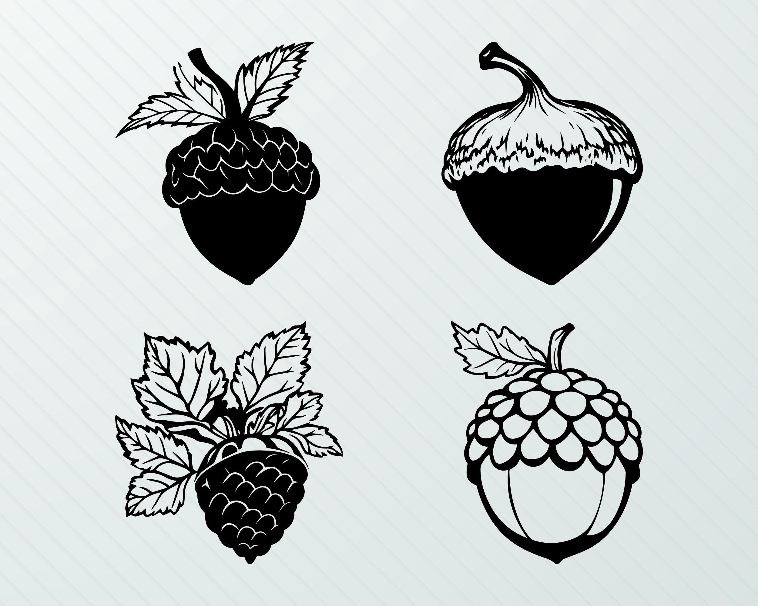 Acorn Svg Png, Acorn Clipart, Acorn Silhouette, Fruit Decal, Acorn ...