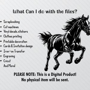 Running Horse Svg Bundle, Horse Silhouette, Running Horse Design ...