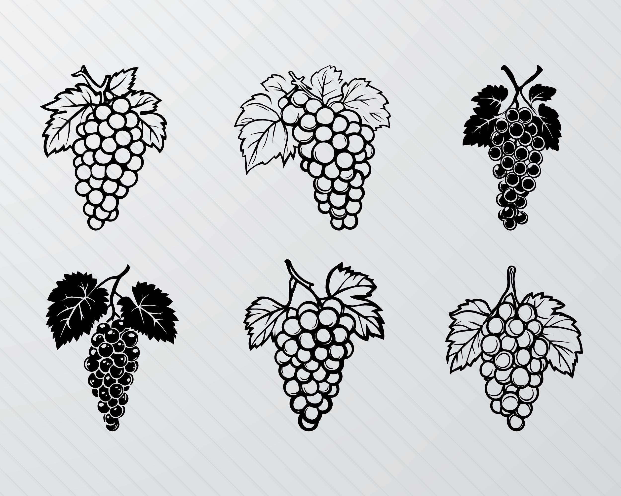 Grape Silhouette Svg, Grape Svg Bundle Cut File Cricut, Grape Outline ...