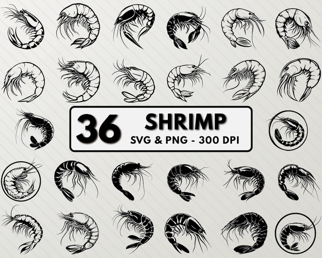 Shrimp SVG Bundle: Fish Silhouette, Line Art Clipart (PNG, SVG) - Etsy UK