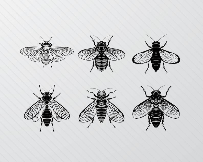 Cicada Silhouette SVG Bundle: Insect Clipart, Decal Vector (digital ...