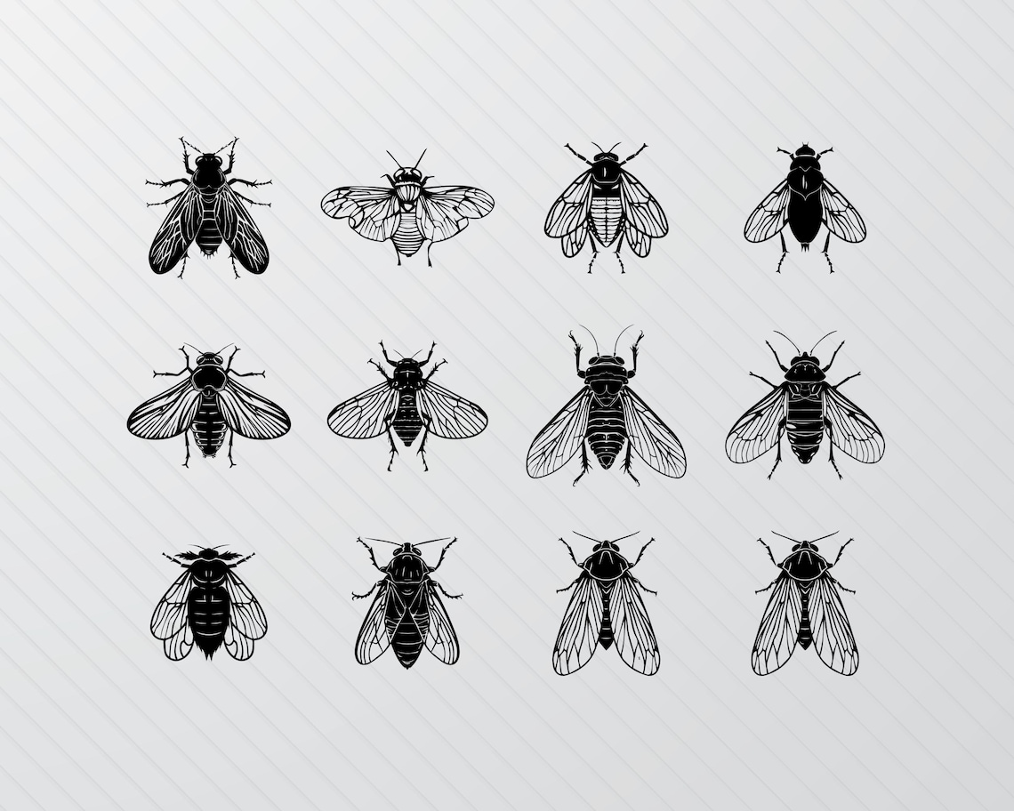 Cicada Silhouette SVG Bundle: Insect Clipart, Decal Vector (digital ...