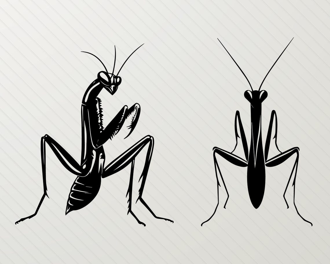 Praying Mantis Svg Bundle, Praying Mantis Silhouette, Mantis Svg Vector ...