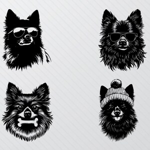 German Spitz Svg Bundle, German Spitz Dog Silhouette Svg, Dog Breeds ...