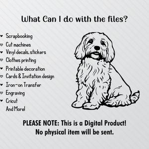 Cockapoo Dog Silhouette: SVG, PNG Clipart Bundle - Etsy