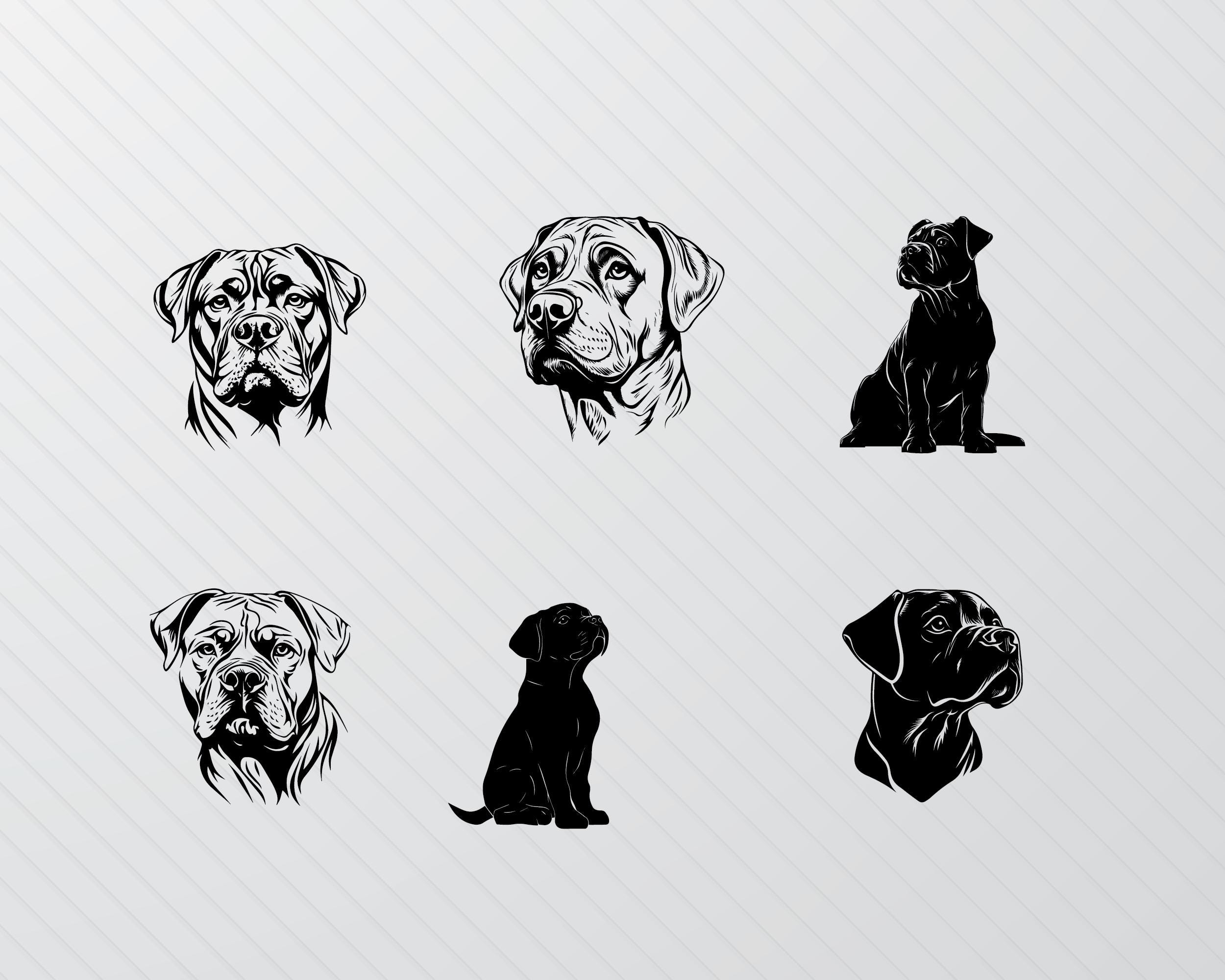 Cane Corso Dog Silhouette, Cane Corso Dogs Svg Bundle, Dogs Clipart ...