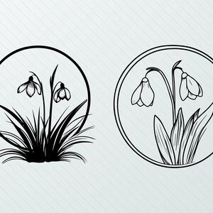 Snowdrop Flower Svg Png, Snowdrop Clipart, Snowdrop Floral Silhouette ...