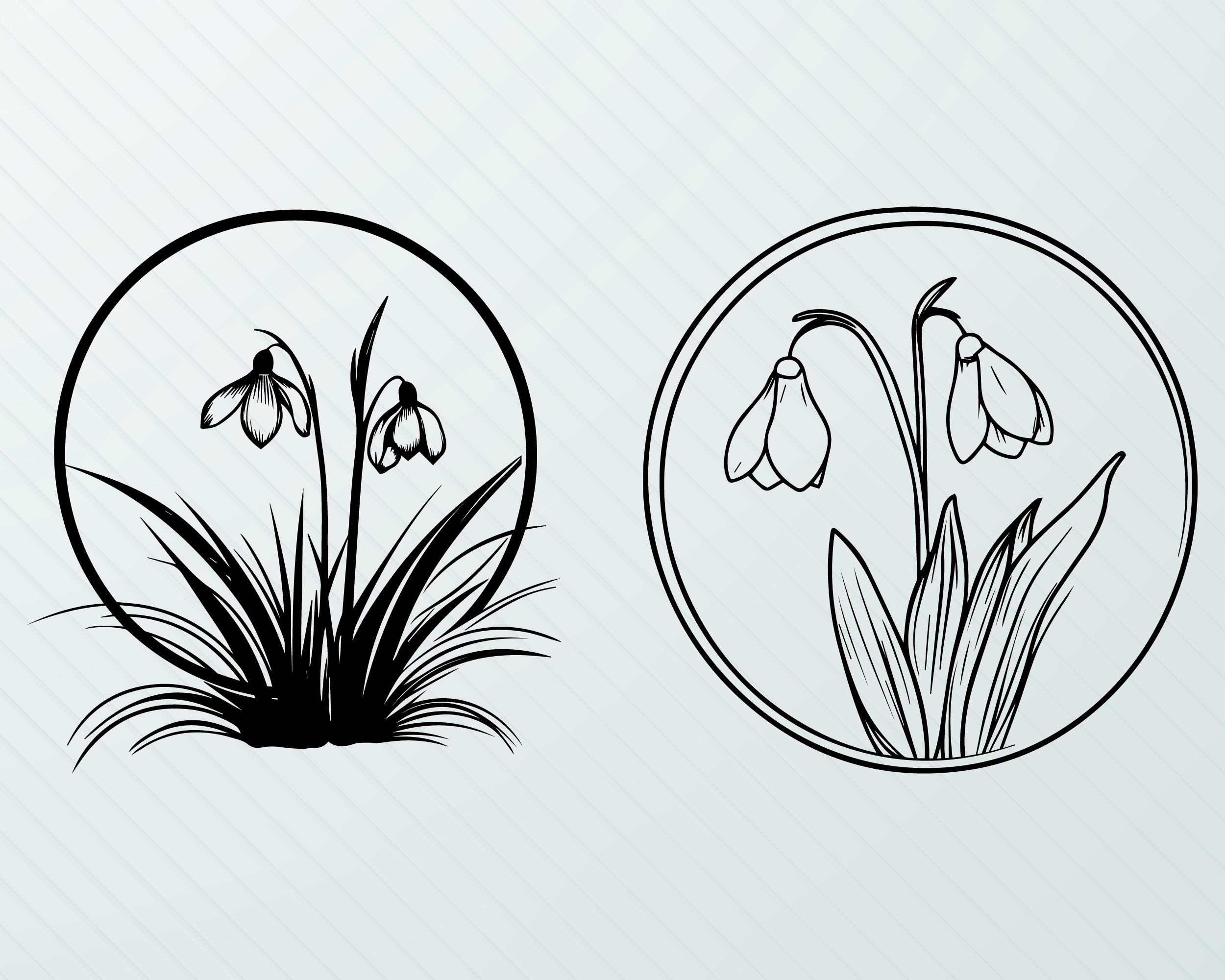 Snowdrop Flower SVG PNG: Floral Silhouette Cut File - Etsy