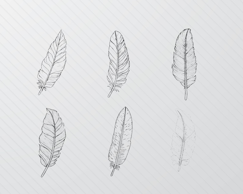 Quill PNG, Quill Silhouette SVG, Quill Vector, Quill, Quill Clipart ...