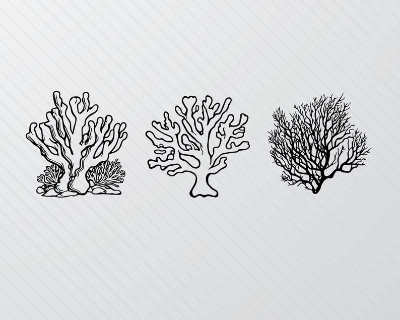 Coral SVG Bundle: Reef Silhouette, Sea Plant Clipart (PNG, Vector) - Etsy