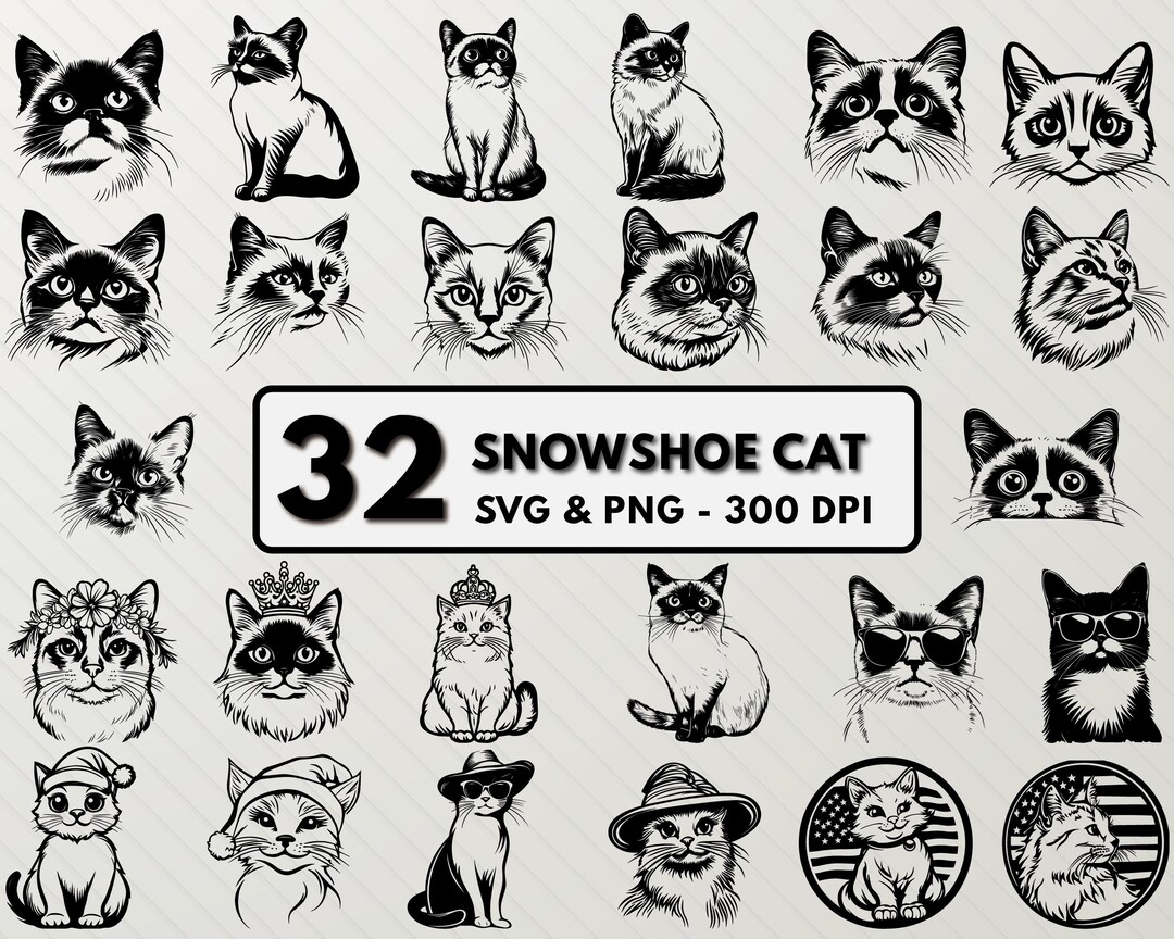 Snowshoe Cat Svg Bundle, Snowshoe Cat Silhouette, Cat Line Art Svg ...