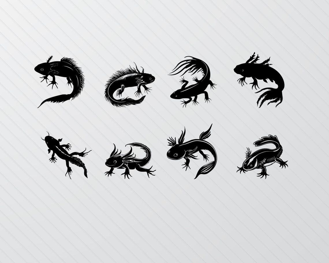 Axolotl Silhouette Svg, Axolotl Svg Cut File, Axolotl Clipart, Axolotl ...