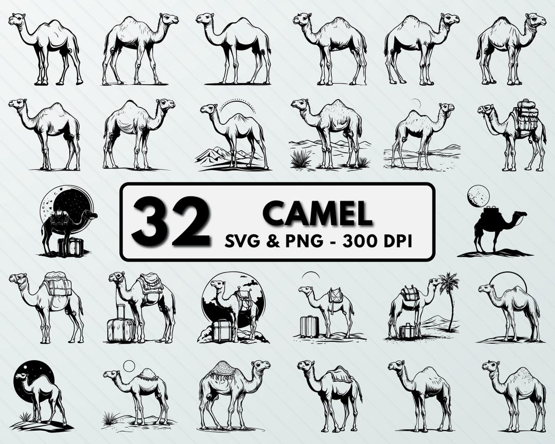 Camel Svg Png Bundle, Camel Clipart, Camel Silhouette, Camel Vector, Camel Cut File, Camel ...