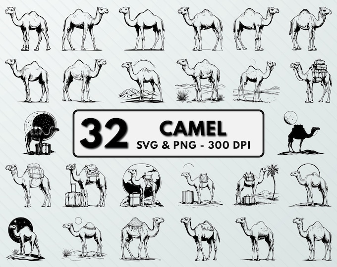 Camel SVG Clipart Bundle: Hand-drawn Desert Animal Designs (digital ...
