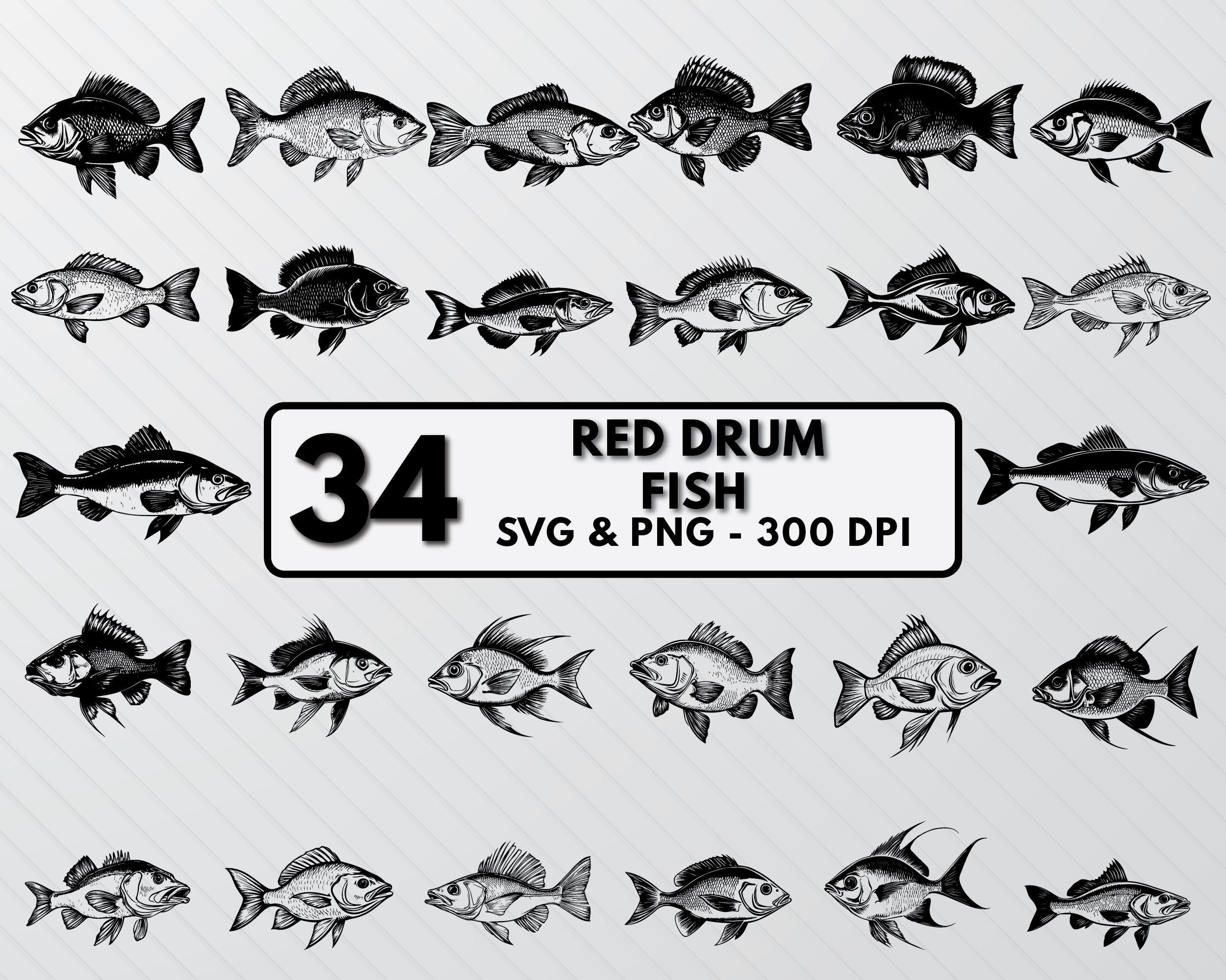 Red Drum Fish SVG Bundle: Spottail Bass Clipart (PNG, Cricut) - Etsy