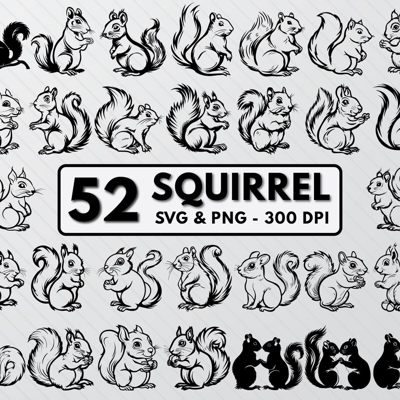 Squirrel Svg - Etsy