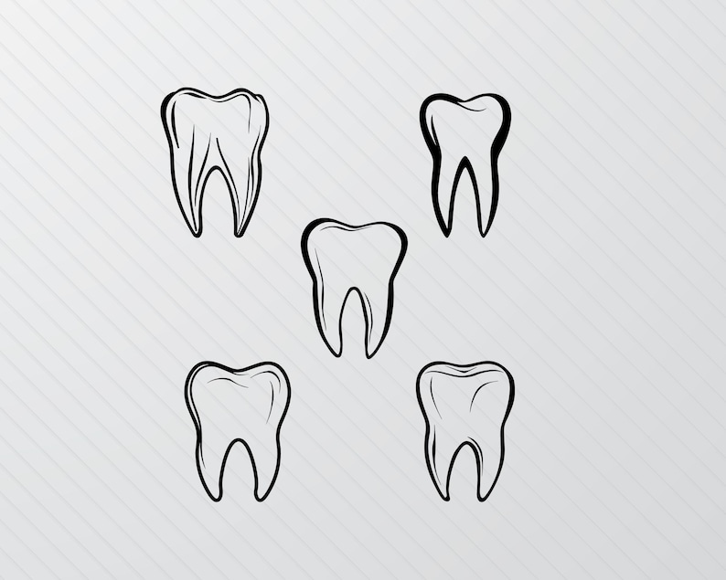 Tooth SVG Bundle: Flower Clipart, Healthy Outlines (PNG, Vector) - Etsy