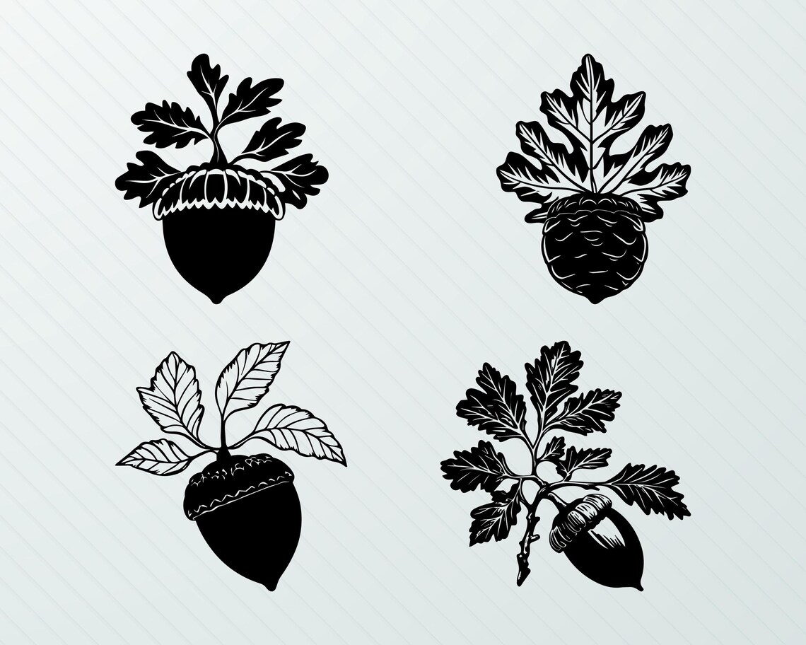 Acorn Svg Png, Acorn Clipart, Acorn Silhouette, Fruit Decal, Acorn ...