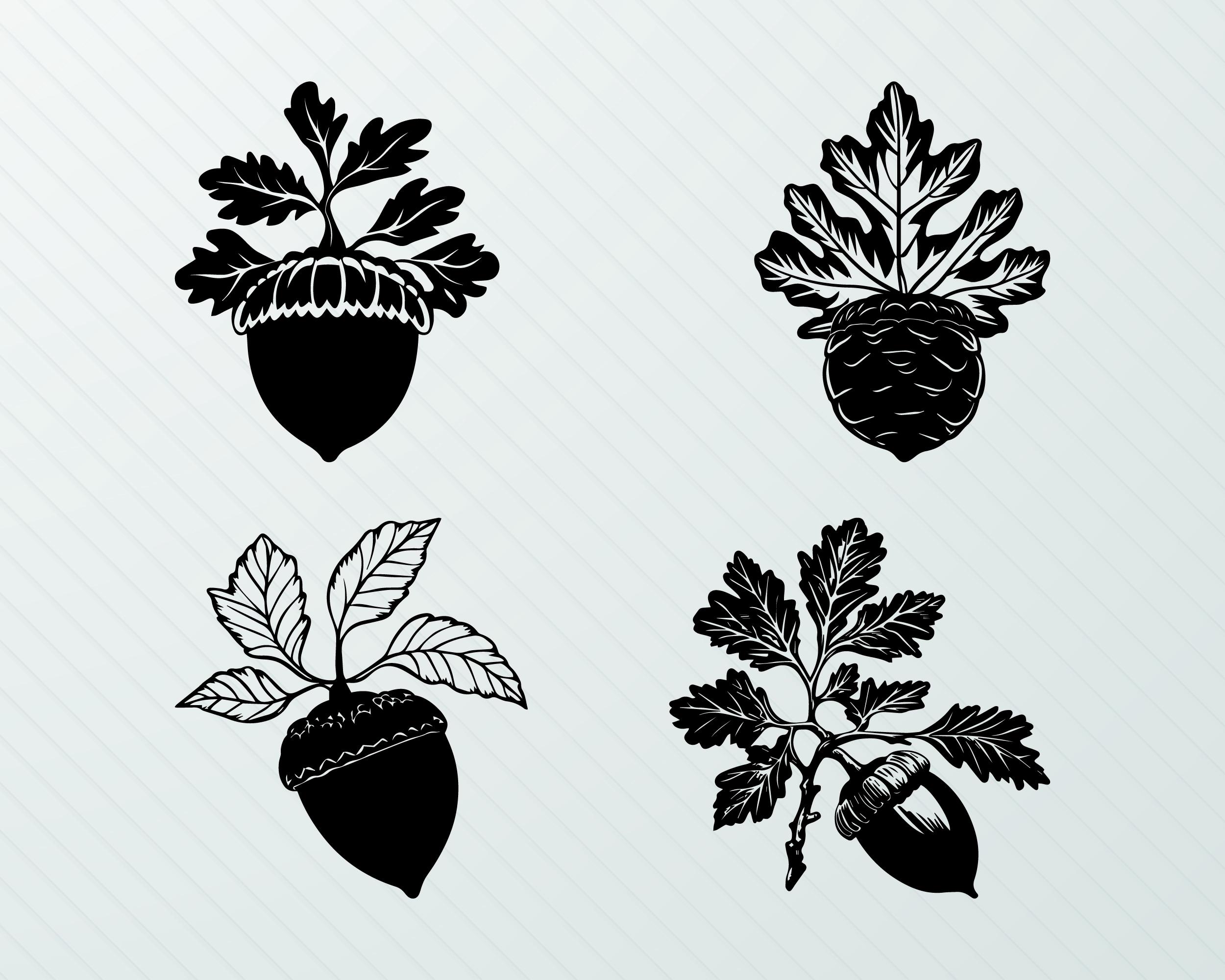 Acorn Svg Png, Acorn Clipart, Acorn Silhouette, Fruit Decal, Acorn ...