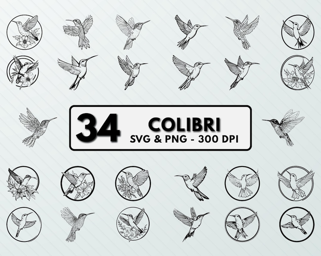 Colibri Svg Png, Colibri Clipart, Colibri Silhouette, Colibri Vector ...