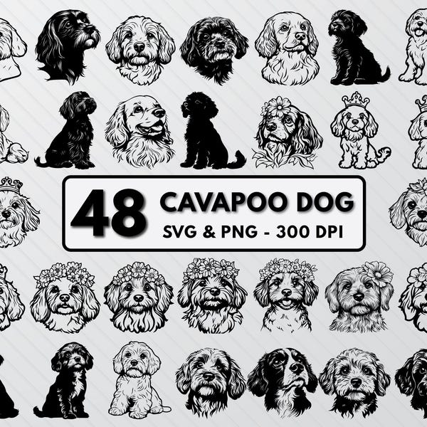 Cavapoo - Etsy UK
