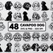 Cavapoo Dog Silhouette: SVG, PNG Clipart Bundle - Etsy