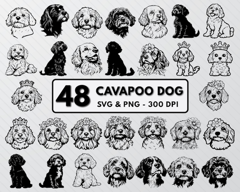 Cavapoo Dog Silhouette: SVG, PNG Clipart Bundle - Etsy