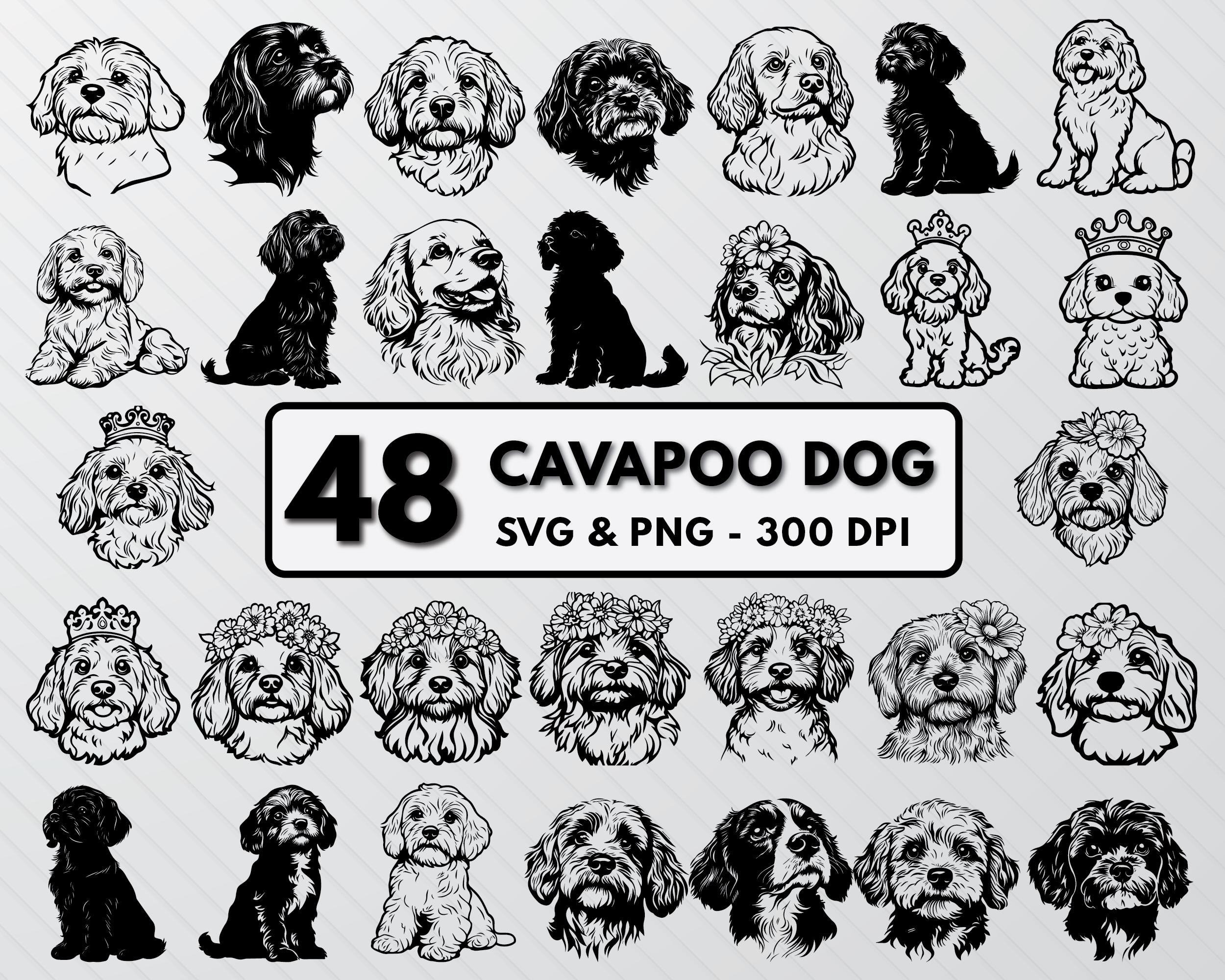 Cavapoo Dog Silhouette: SVG, PNG Clipart Bundle - Etsy
