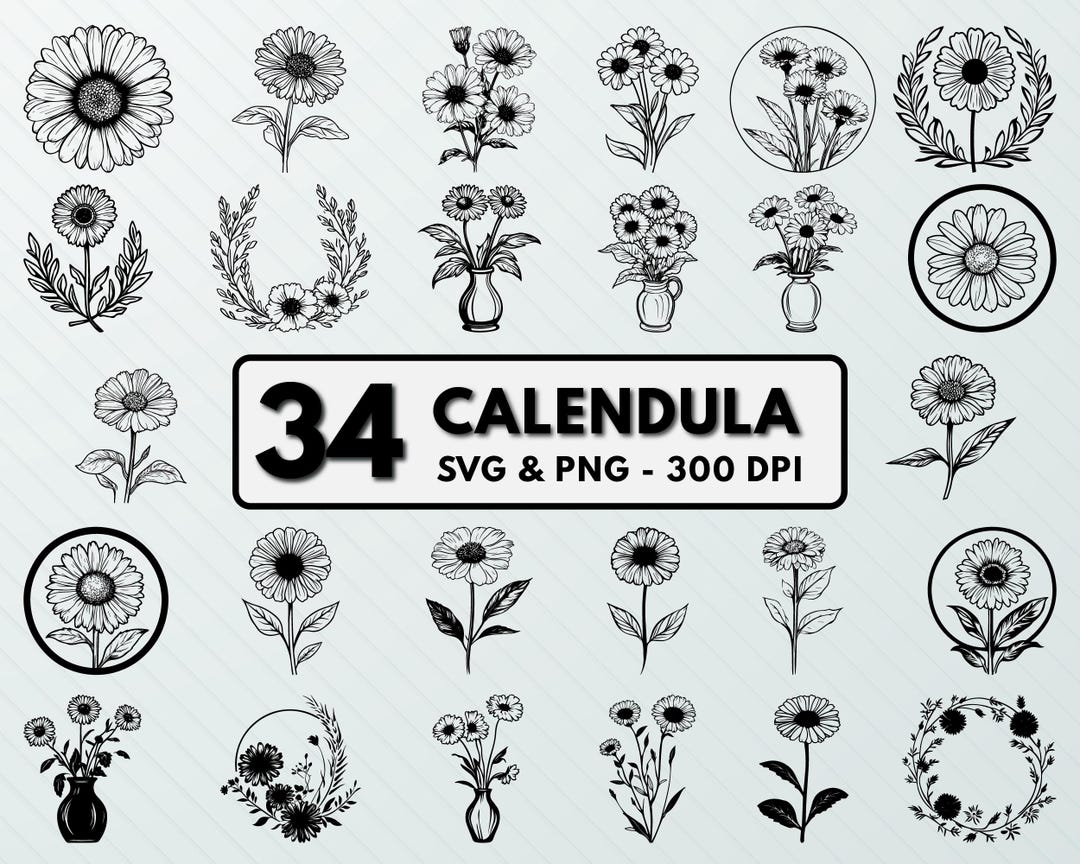 Calendula Flower Svg Png Bundle, Calendula Floral Silhouette, Calendula ...