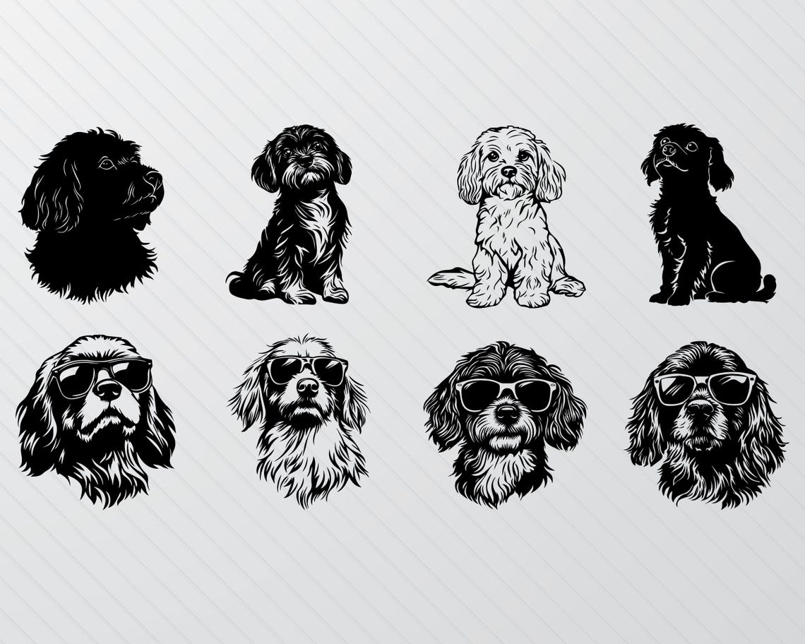 Cavapoo Dog Silhouette, Cavapoo Dogs Svg Bundle, Cadoodle Puppies Png ...