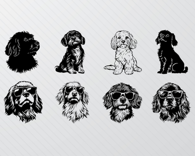 Cavapoo Dog Silhouette: SVG, PNG Clipart Bundle - Etsy
