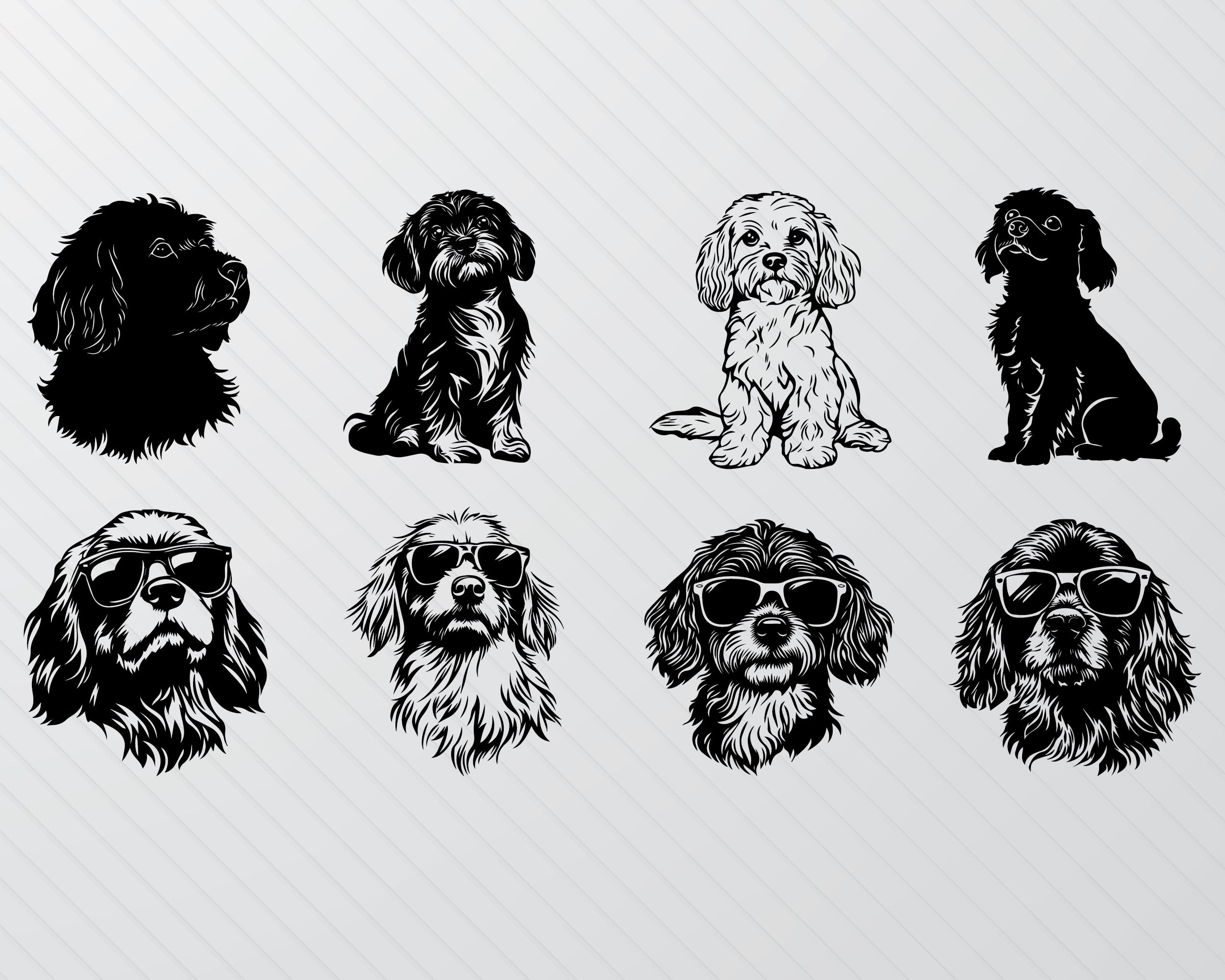 Cavapoo Dog Silhouette: SVG, PNG Clipart Bundle - Etsy