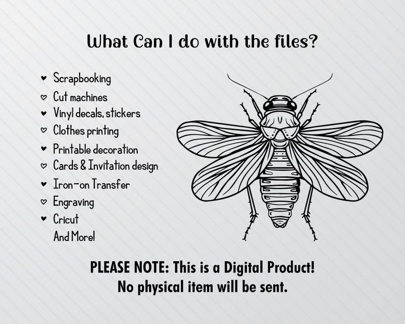 Cicada Silhouette SVG Bundle: Insect Clipart, Decal Vector (digital ...