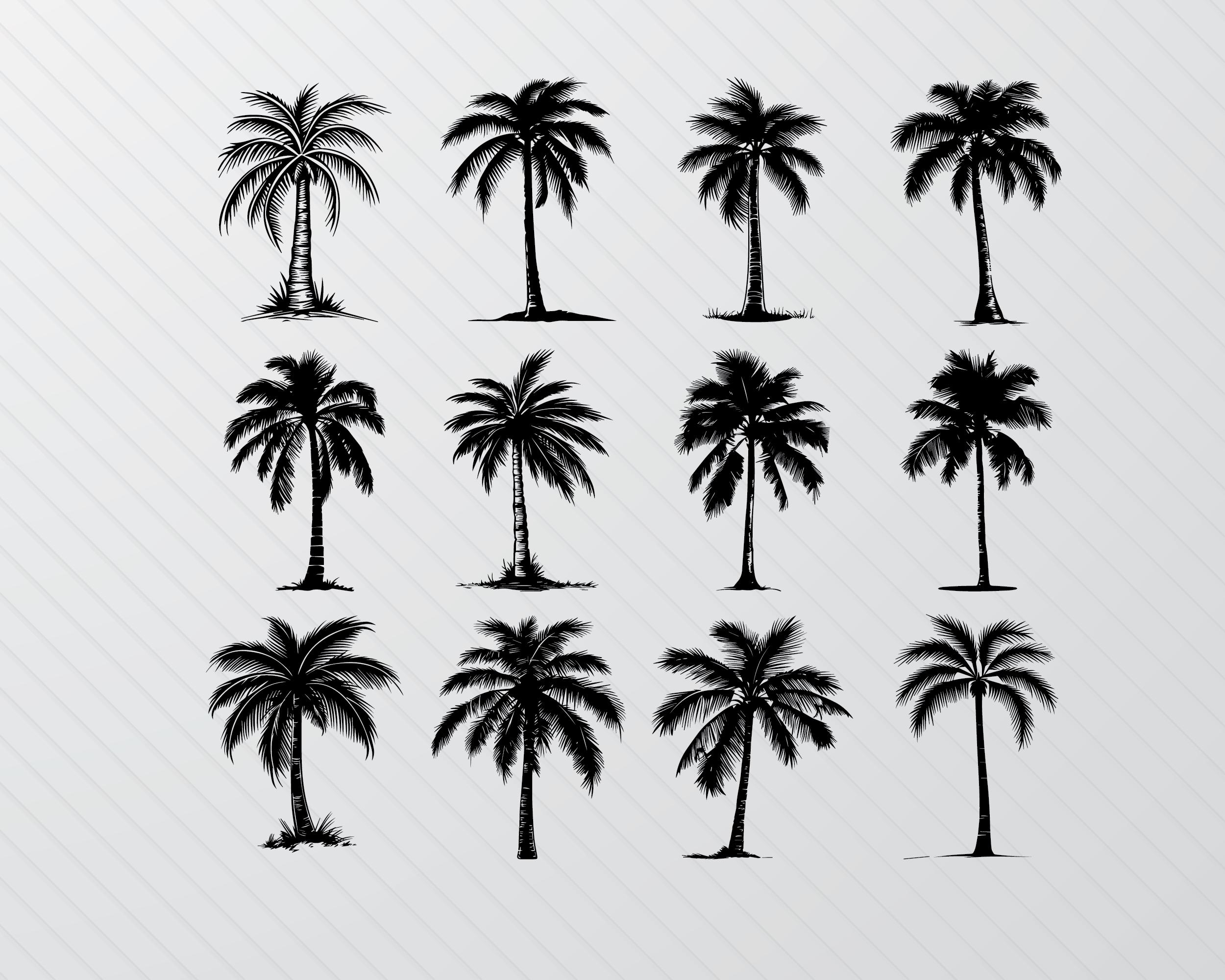 Palm Tree Silhouette Svg, Palm Tree Svg Bundle Set, Palm Tree Png ...