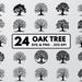 Oak Tree Silhouette SVG Bundle: Old Tree Scene, Bonsai Design (PNG ...
