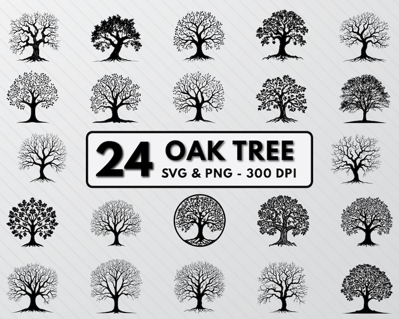 Oak Tree Silhouette SVG Bundle: Old Tree Scene, Bonsai Design (PNG ...