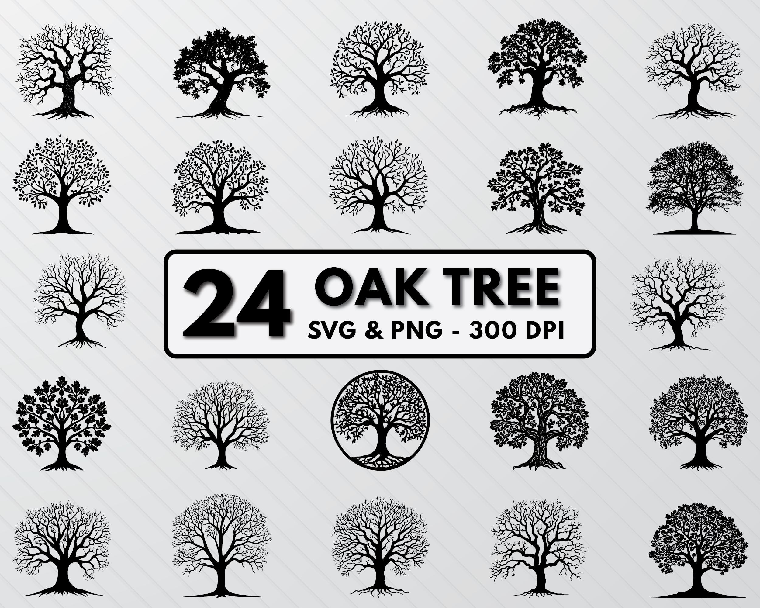 Oak Tree Svg Bundle, Oak Tree Silhouette, Oak Tree Vector Clipart, Old ...