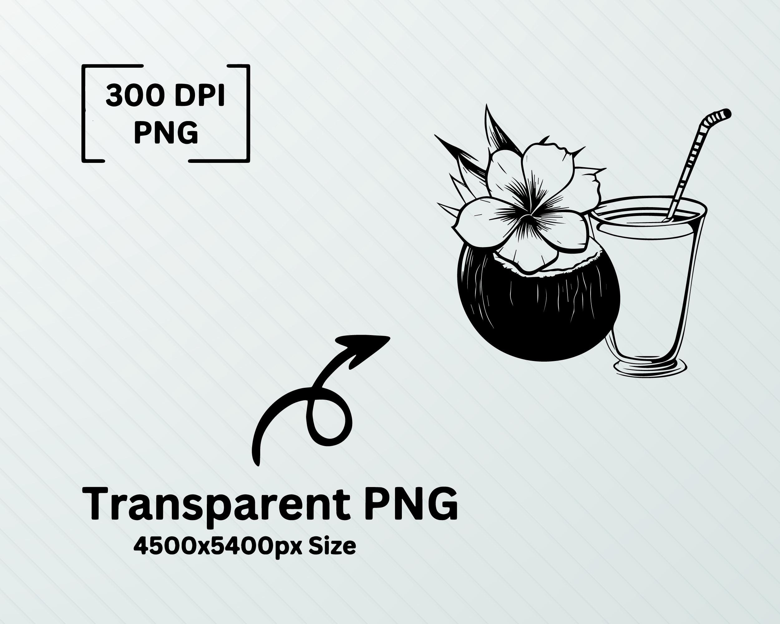 Coconut Clipart: Tropical SVG PNG Vector Designs (digital Download) - Etsy