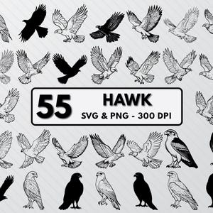 Hawk Silhouette SVG Bundle: Bird Clipart, Decal, Cricut Vector (digital ...