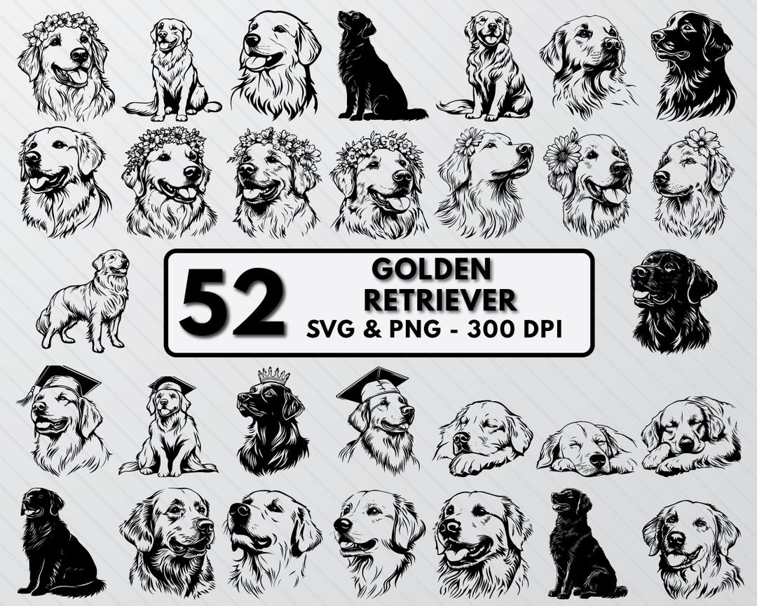 Golden Retriever SVG Clipart: Dog Breed Vector Art (PNG, 300 DPI) - Etsy